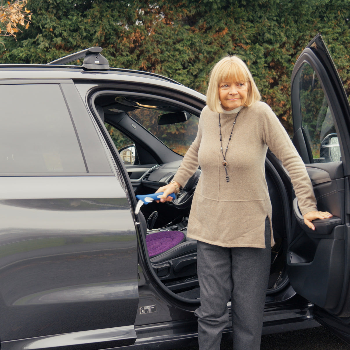 Handy Car Transfer Bar - Vehicle Mobility Handle with Emergency Tools ...